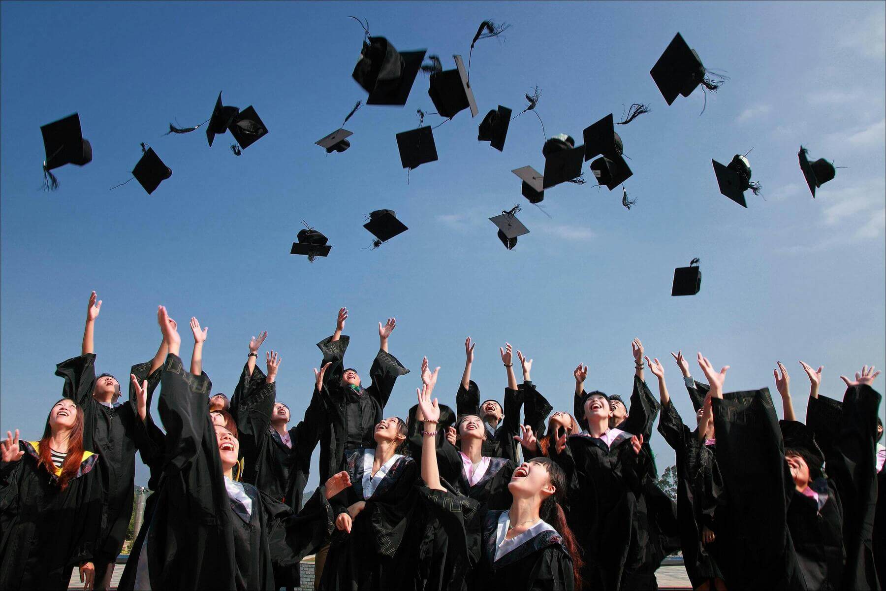 MLIS Degree: How Useful Is It For Librarians? - Everything A Librarian Need